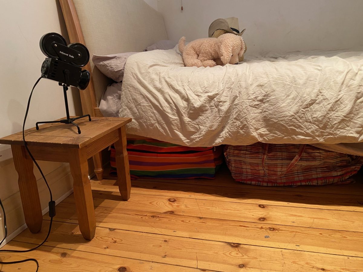 Project: Reclaiming the spare room - Organise My Clutter